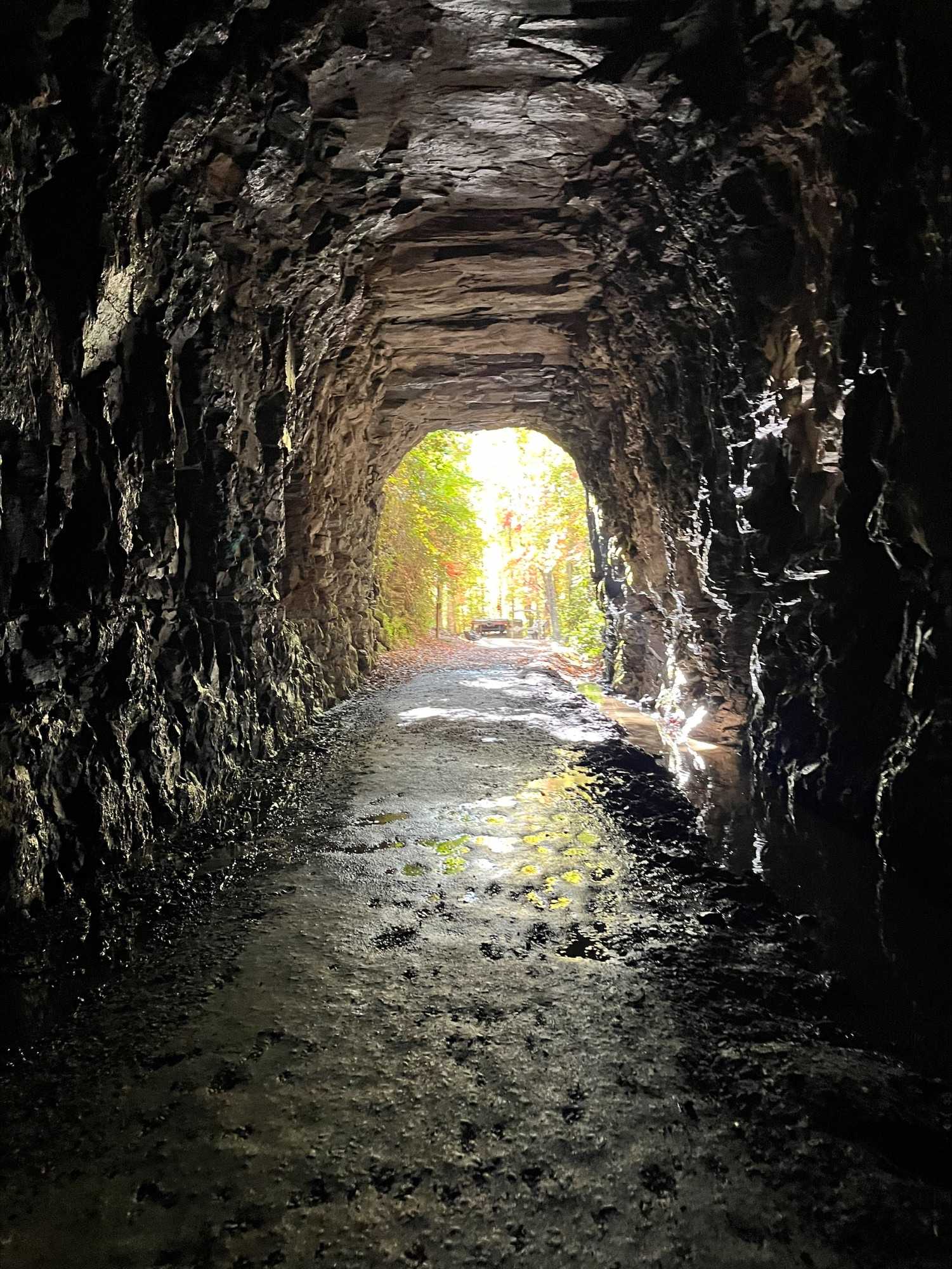 Stumphouse Tunnel reopened, officials say