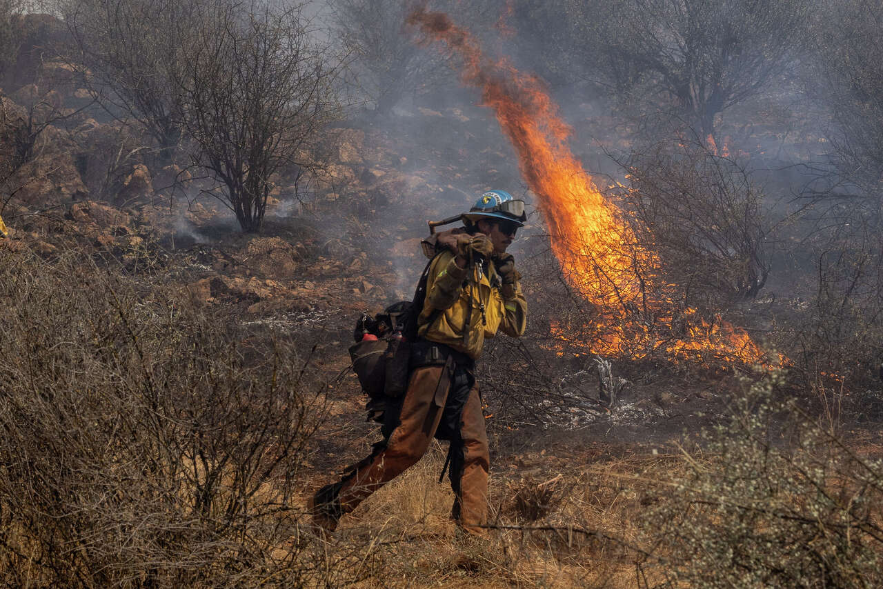 Northern California could face a fire-prone summer - here are the wild ...