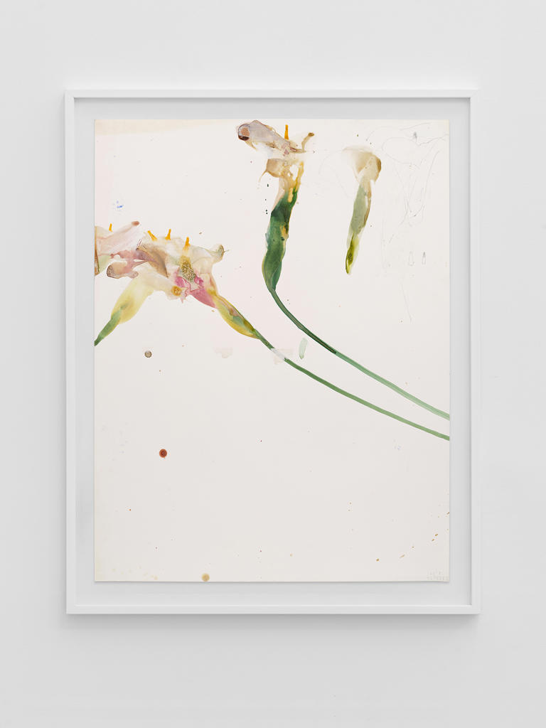 Dallas Museum of Art acquires six works at 2026 Dallas Art Fair