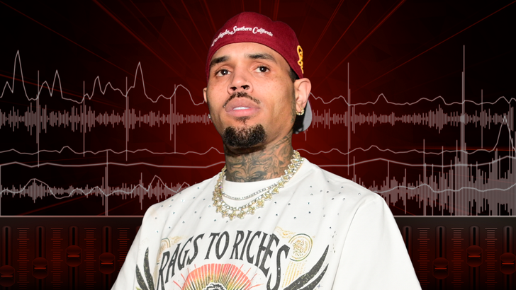 Chris Brown's security guard who shot gun outside his house has been fired