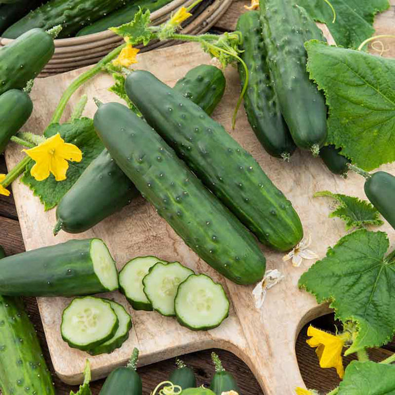 8 vegetables to plant in May for an abundant summer harvest – these ...
