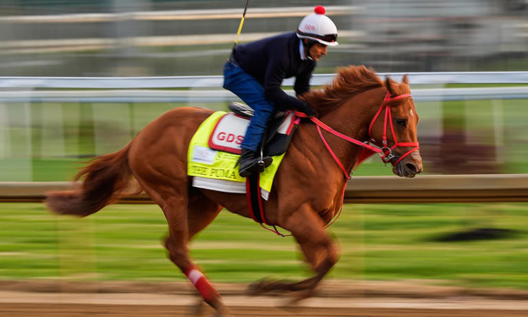 Kentucky Derby down to 19 horses after dramatic withdrawal in hours ...