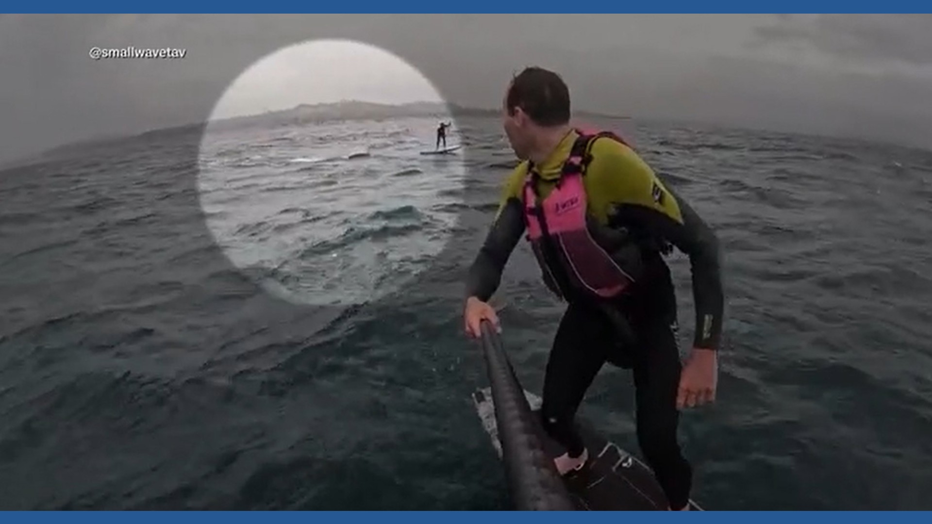 Shark chase, falling buildings and viral dog take over week