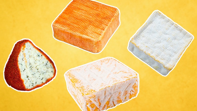 12 of the most pungent cheeses in the world
