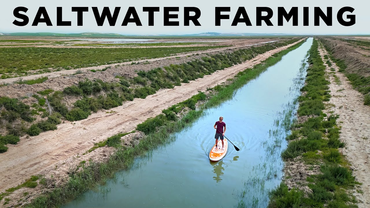 Can 2 billion acres become farmland?