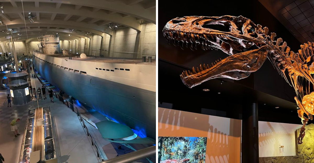 15 top museums in the US worth visiting at least once
