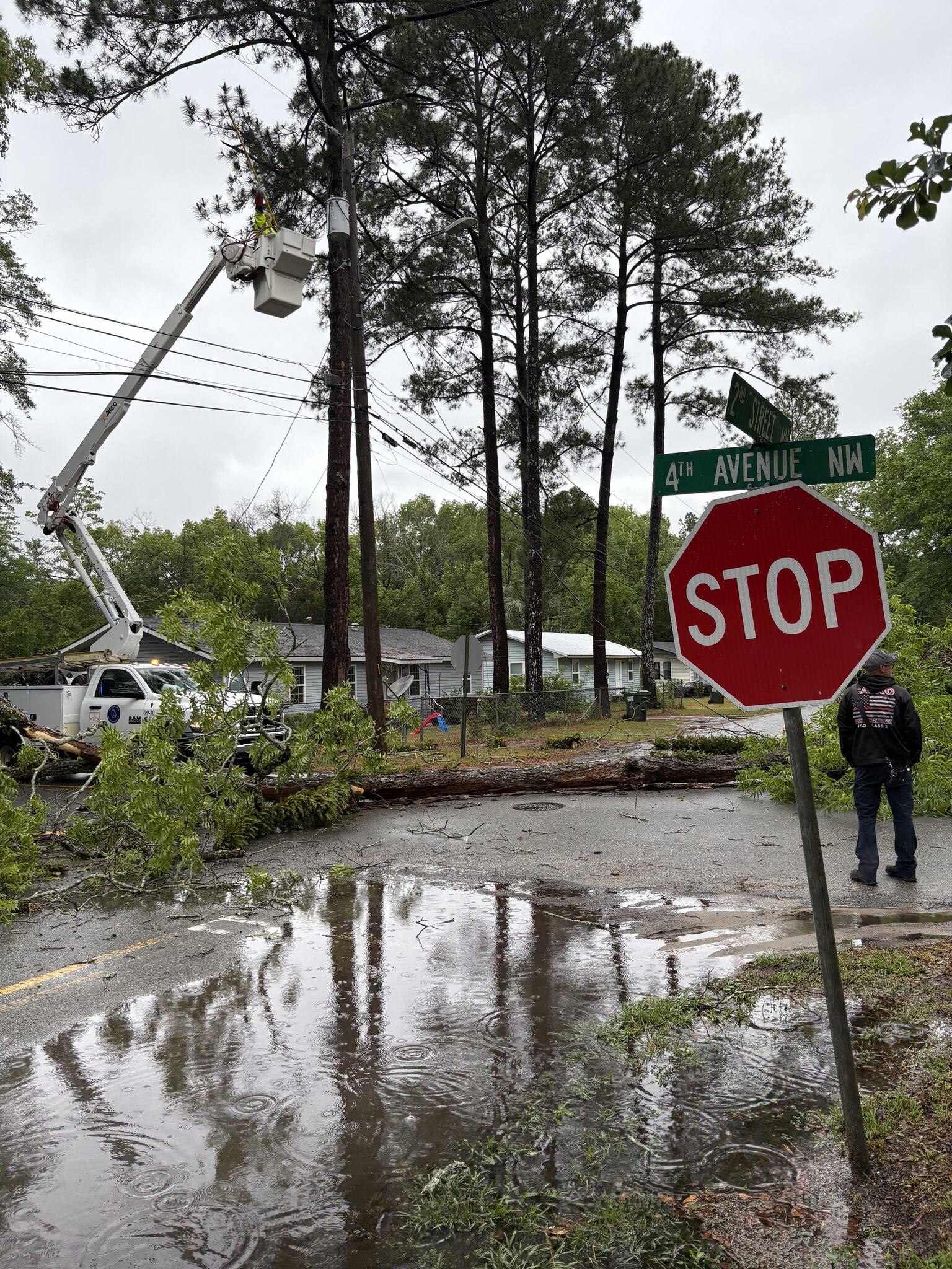 Cairo crews work to clear downed tree, utility lines