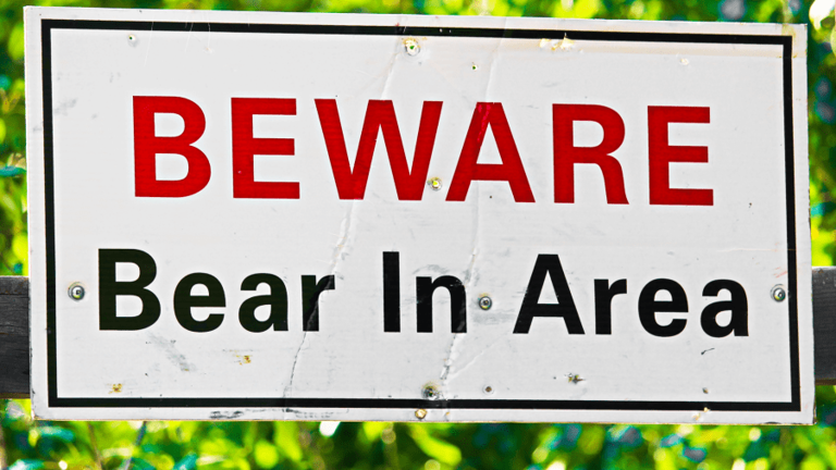 Bear sighting in Poteau prompts public safety warning