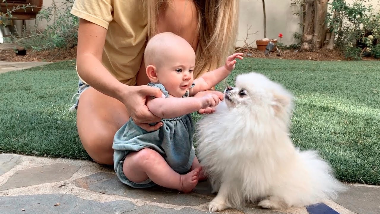 Baby Posie and puppy share a sweet moment