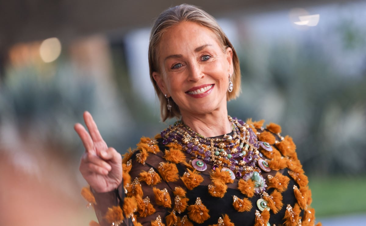 Sharon Stone posa en bikini a los 68; habla sin filtros sobre el miedo ...