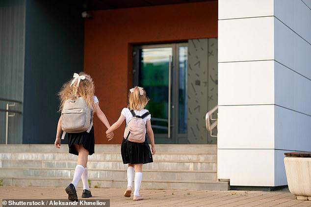 Too many teachers try to make life 'too easy' for autistic pupils ...
