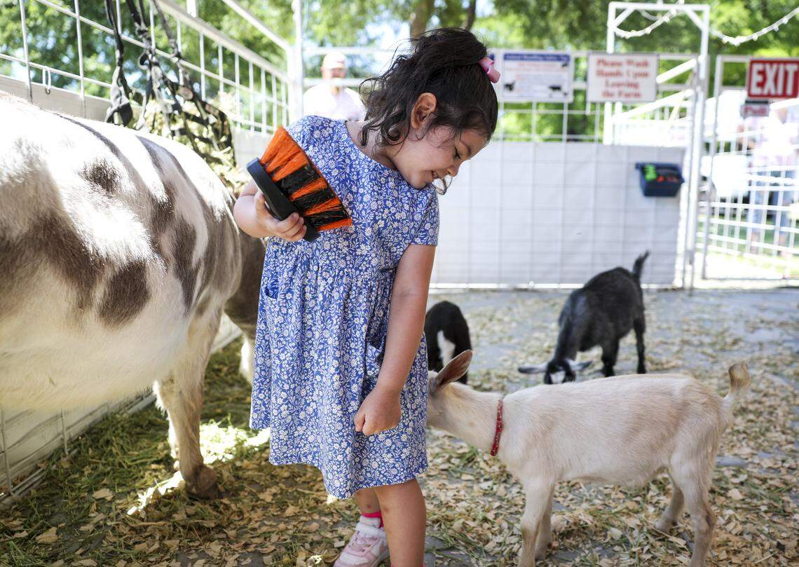 Photos: Mayfest draws thousands to Trinity Park