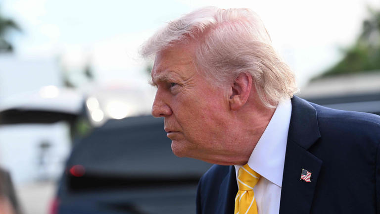 President Donald Trump orders troop reduction, tariff hike against NATO ...