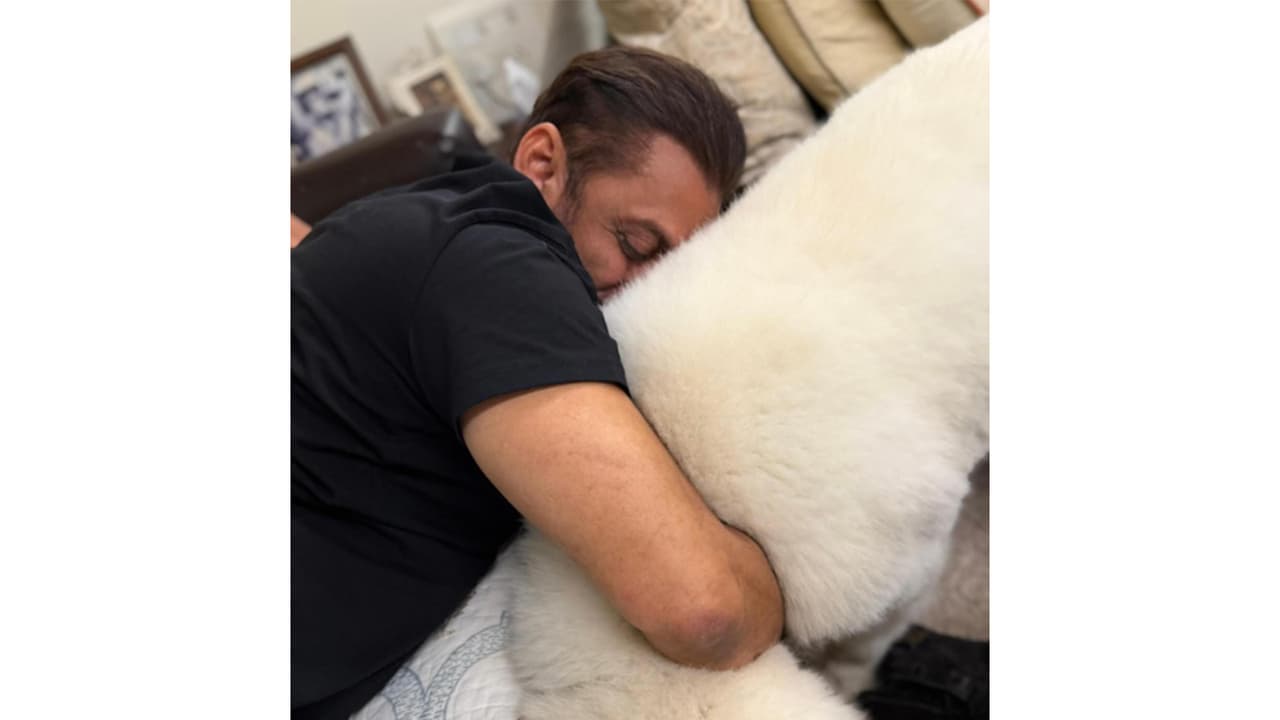 Salman Khan finds 'sukh' in a quiet moment with his furry friend