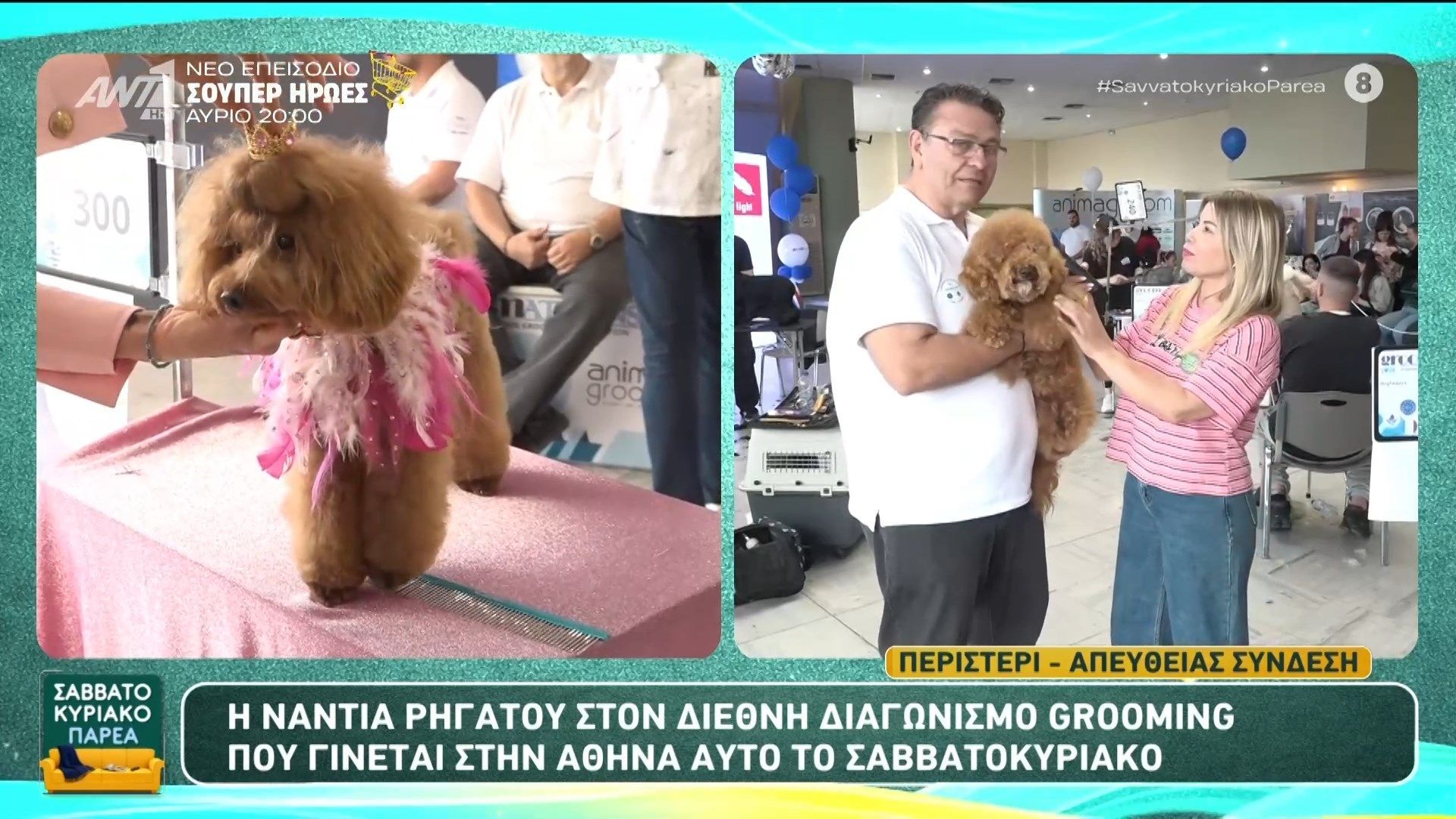 Διεθνής διαγωνισμός grooming στην Αθήνα - Σαββατοκύριακο παρέα - 03/05/2026