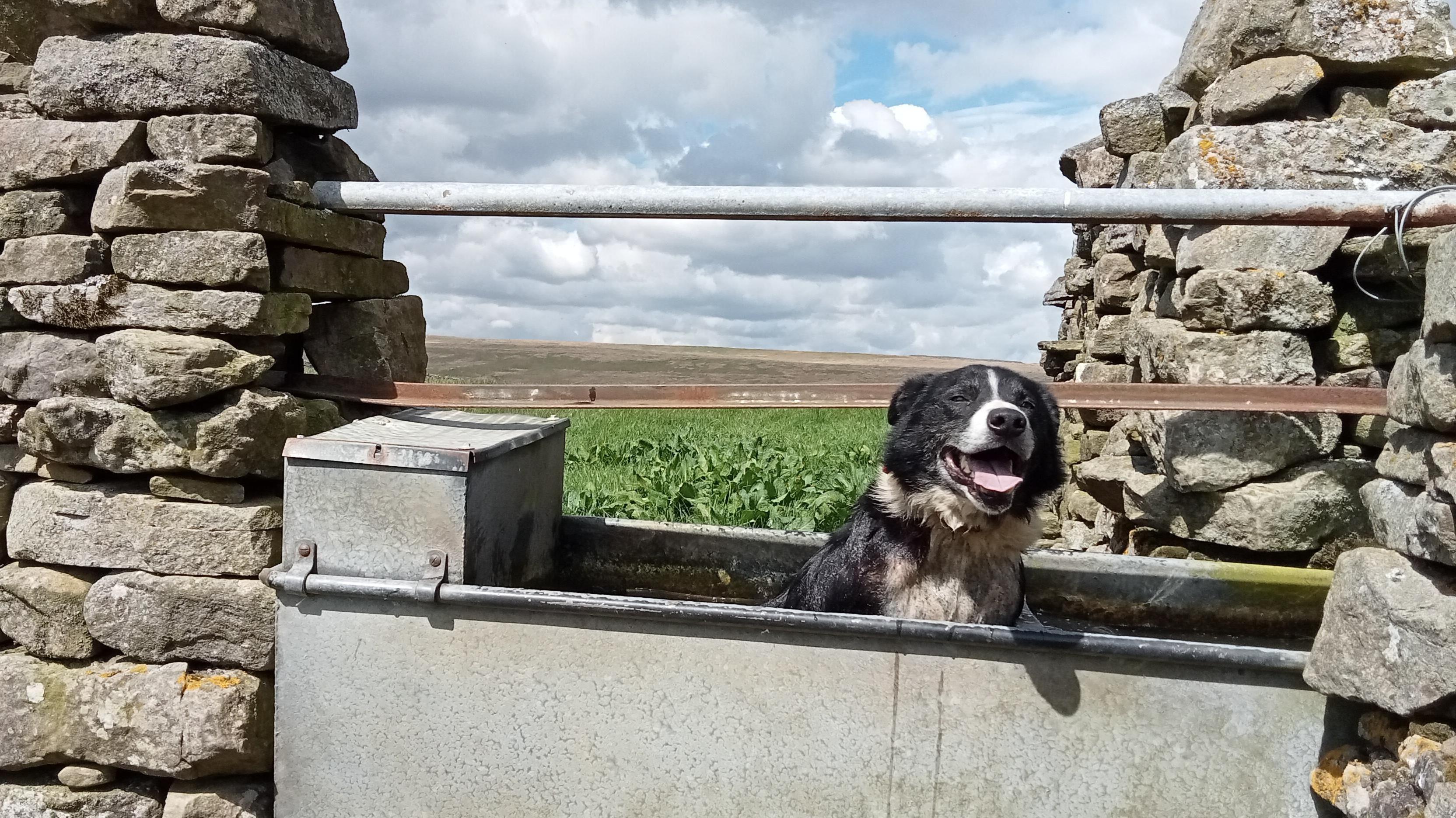 Your sunshine snaps as temperatures rise
