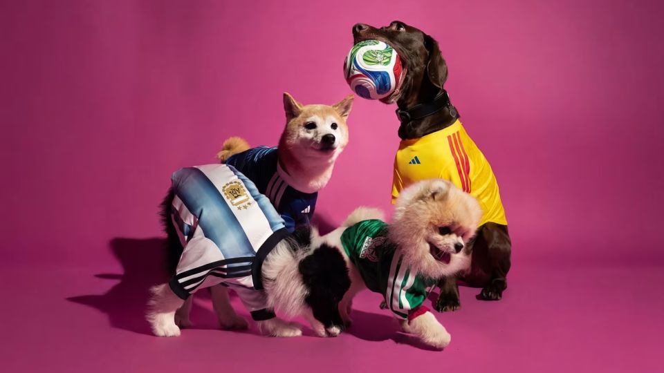Adidas diseñó camisetas del Mundial para los perros mascotas