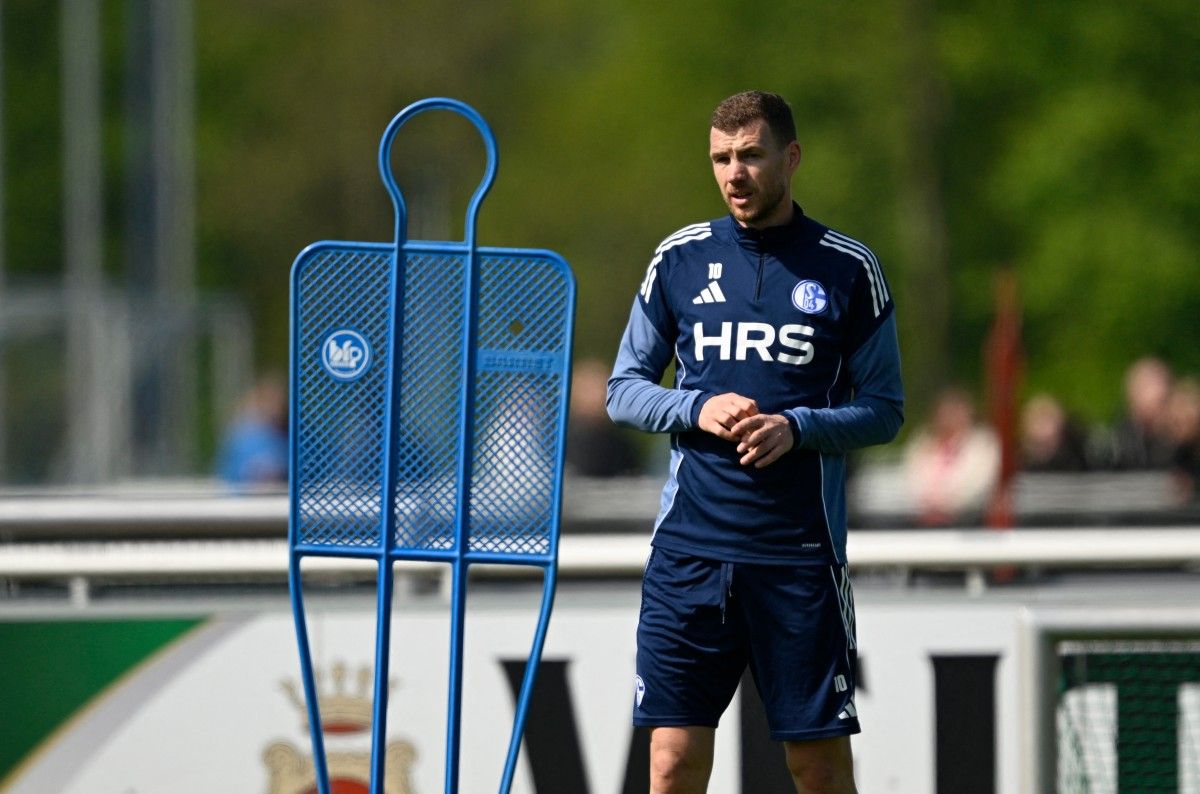 Tuah Edin Dzeko, Schalke 04 promosi ke Bundesliga usai 3 musim ...