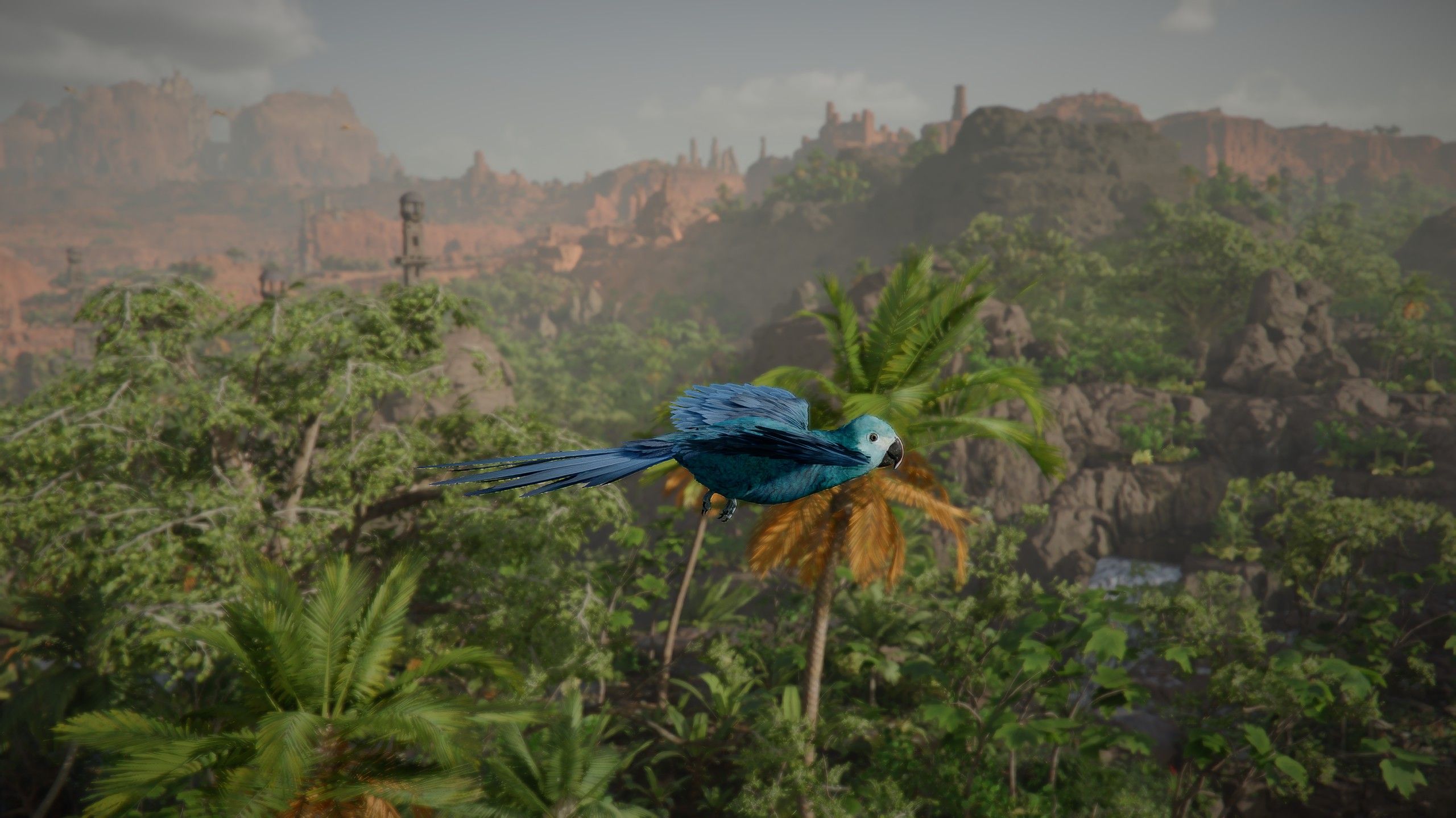 Legendary hyacinth macaw location in Crimson Desert