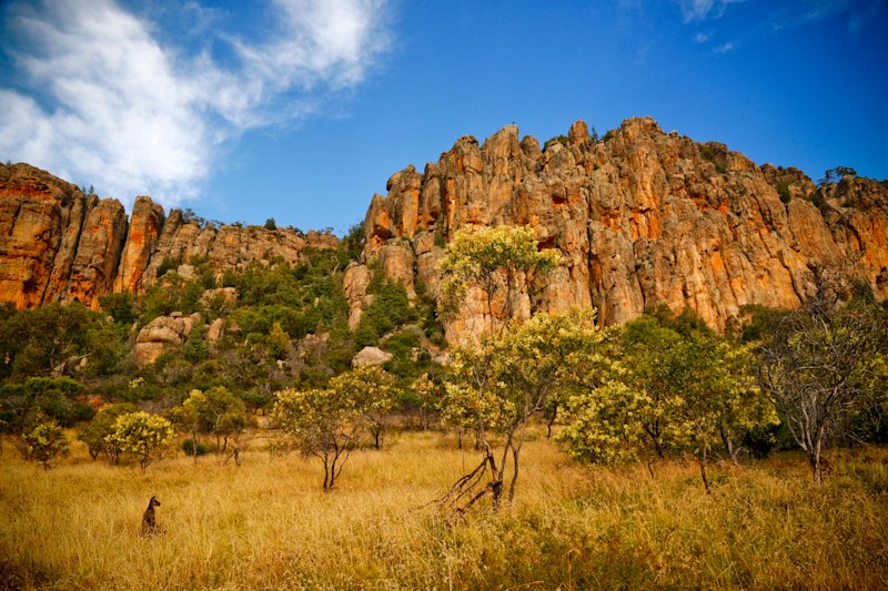Climber who died after Mount Arapiles fall was a 'bundle of joy'