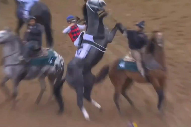 Great White OK after getting scratched from Kentucky Derby just before ...
