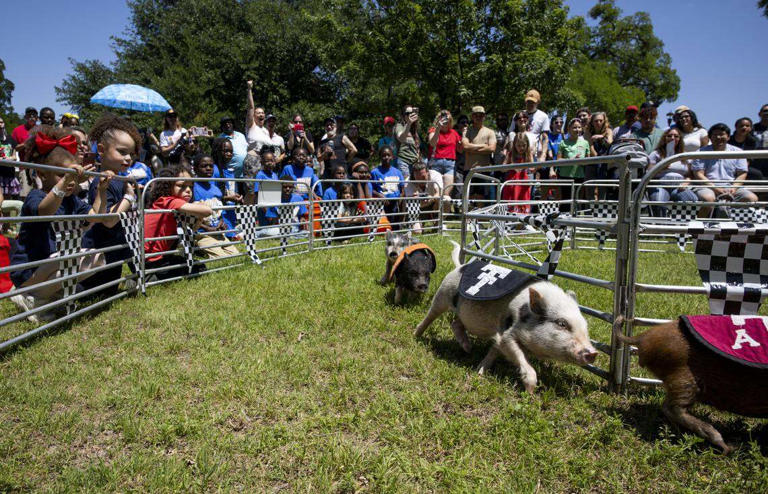 Photos: Mayfest draws thousands to Trinity Park