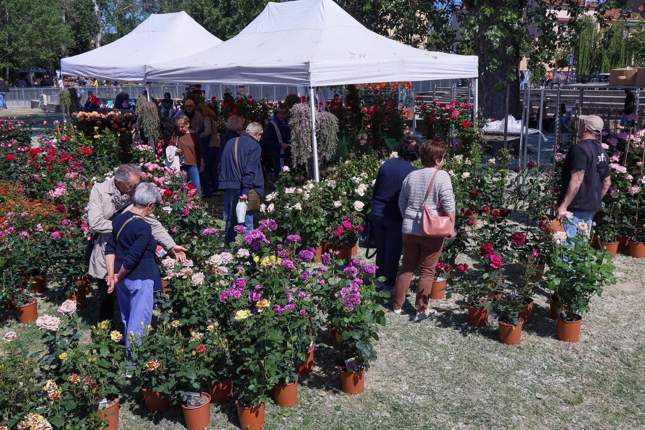 Giardini Estensi in Darsena. Mostre, mercati, laboratori. Un ritrovo ...