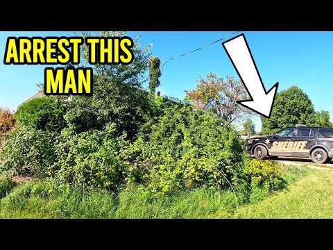 Extreme overgrown property cleanup: uncovering a hidden sidewalk!
