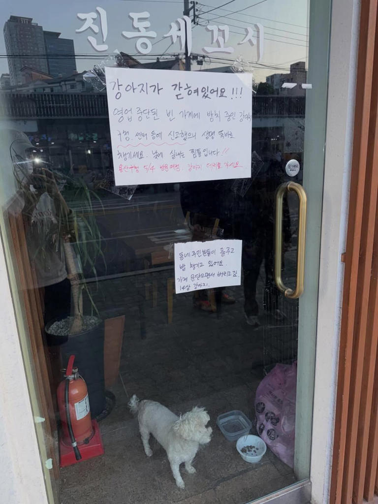Restaurant owner denies abandoning dog during closure