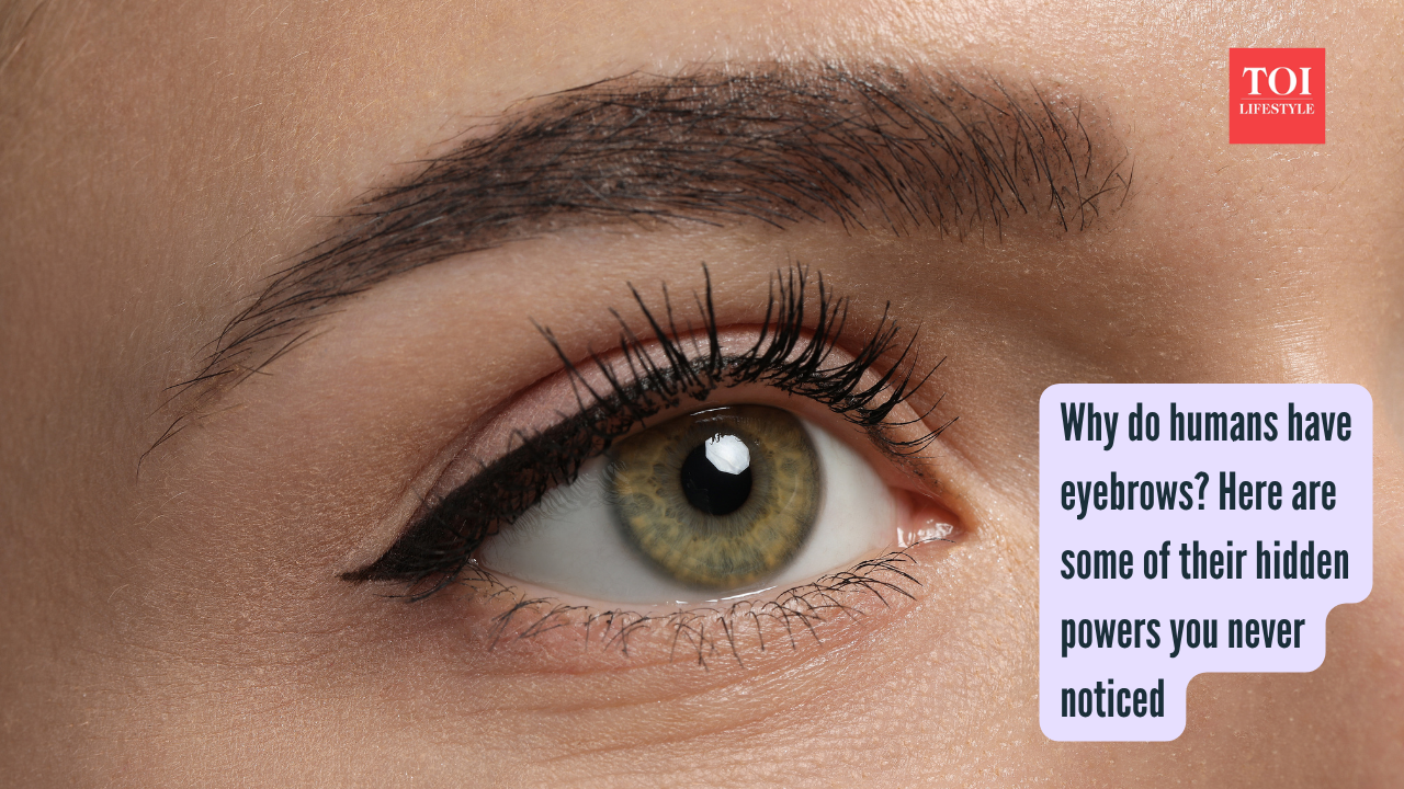 Why do humans have eyebrows? Here are some of their hidden powers you ...
