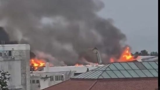 USF St. Pete Marine Science Lab fire cause: Chilling video emerges as ...