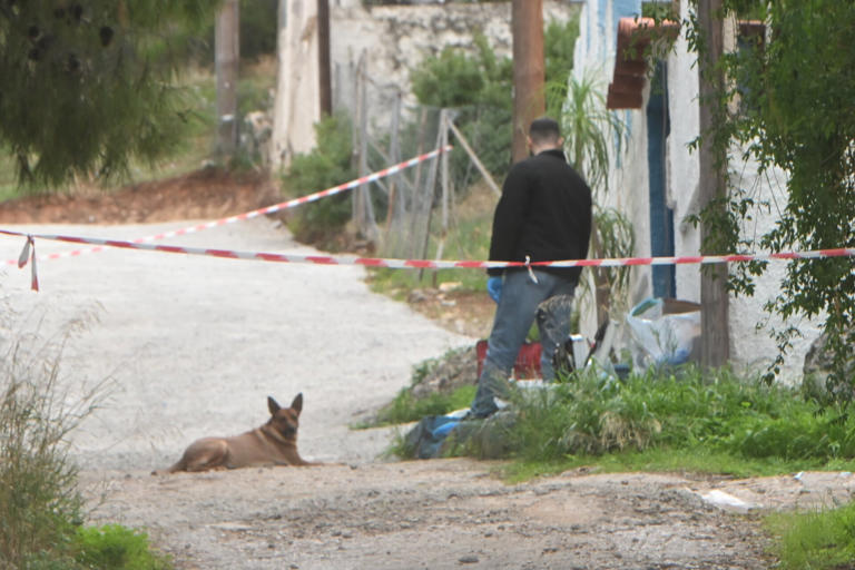 Λακωνία: Ληστές μπήκαν σε σπίτι ενώ οι ένοικοι κοιμόντουσαν – Άγριο ...