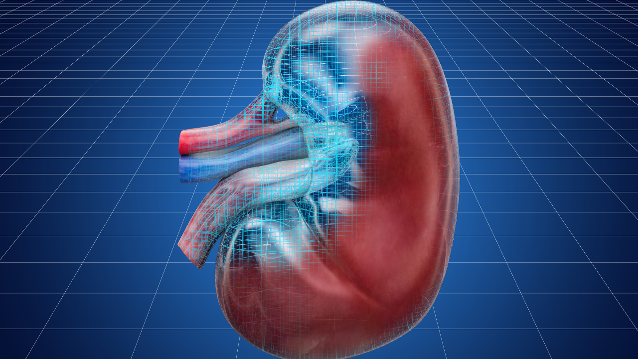 Sudden back pain? It might not be muscle strain; here’s how to spot ...