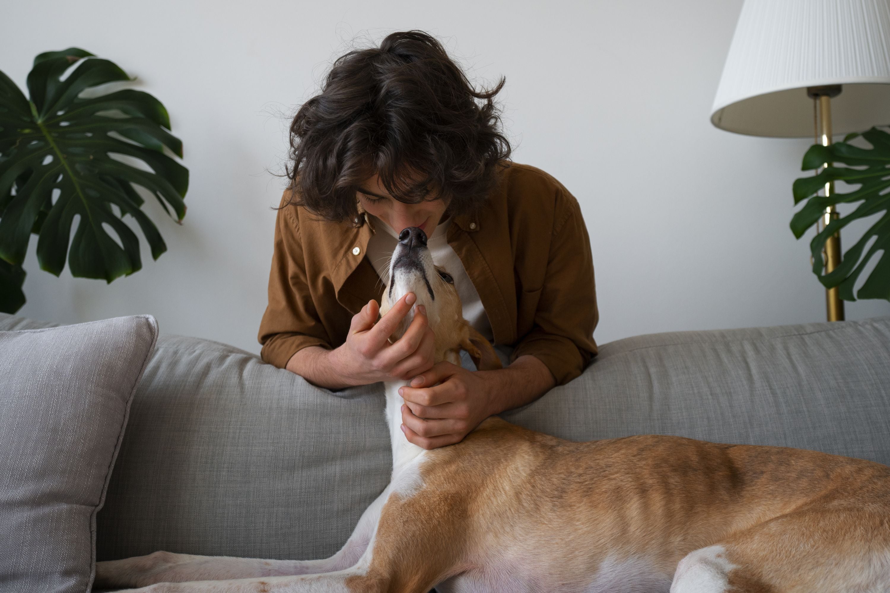 Qué significa acariciar siempre a los perros, según la psicología