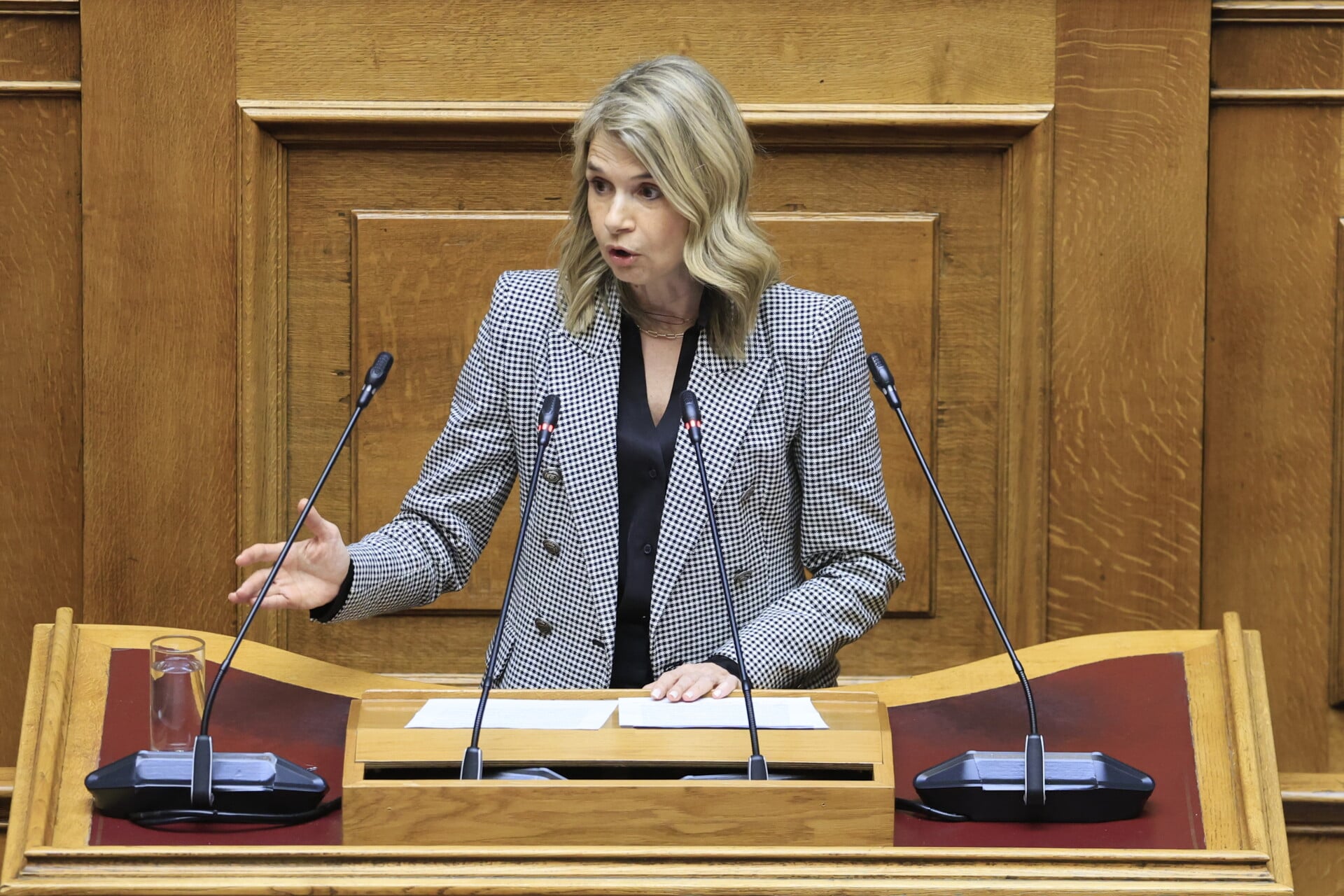 Μ. Αποστολάκη: Υποχρεωτική ευρωπαϊκή ρύθμιση η «πρωτοβουλία» Μητσοτάκη ...