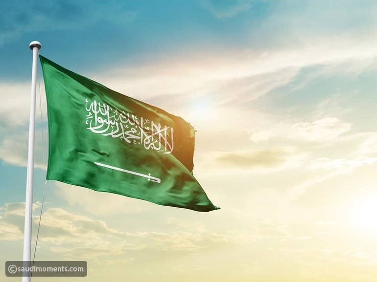Saudi Arabia detains 11,300 for residency and border violations