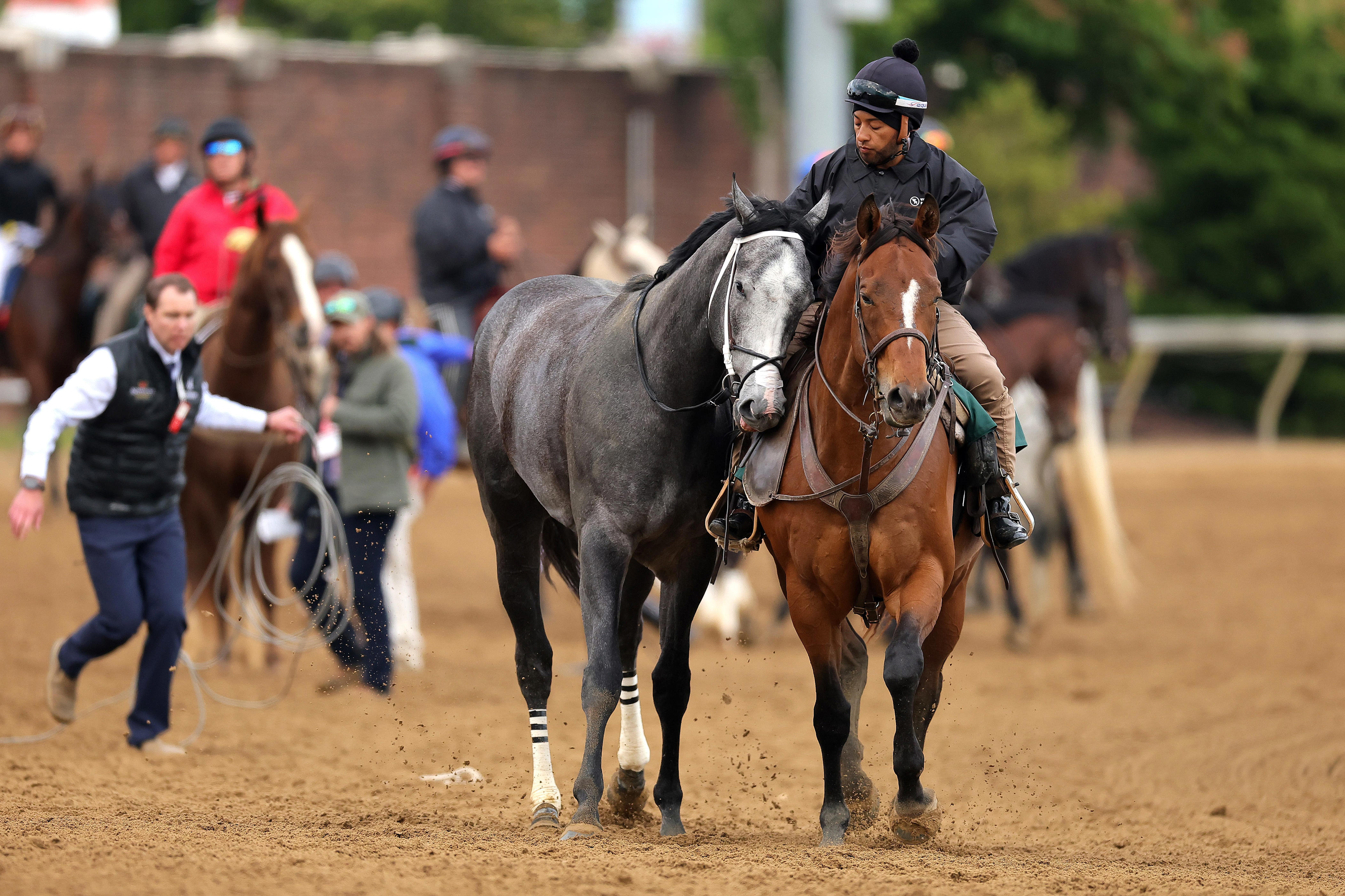 Is Great White OK after falling at the Kentucky Derby?