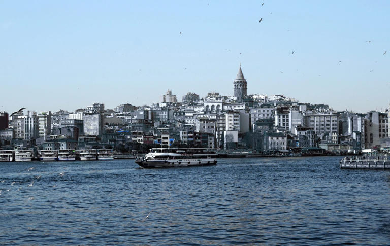 Κωνσταντινούπολη: 58χρονη σκότωσε την 25χρονη νύφη της – «Καθάρισα την ...