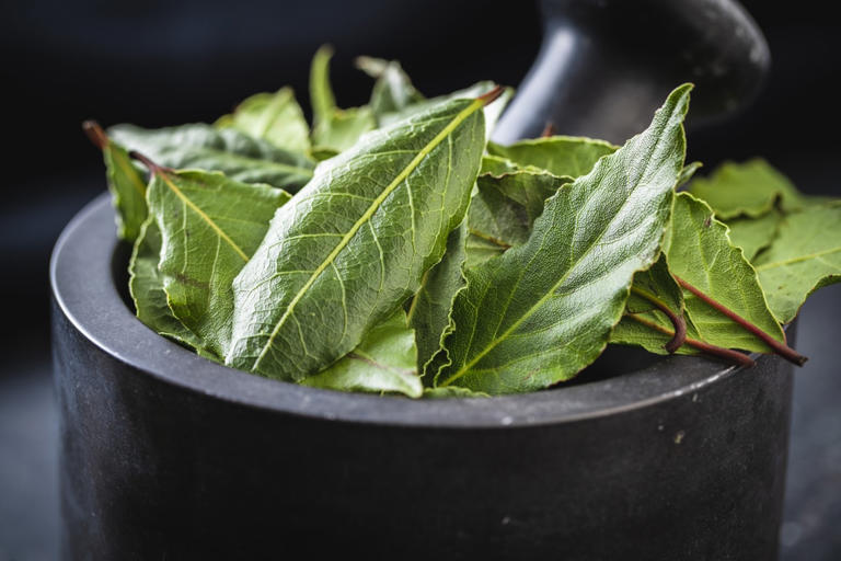 Why mix bay leaves and baking soda: What it’s good for and why ...