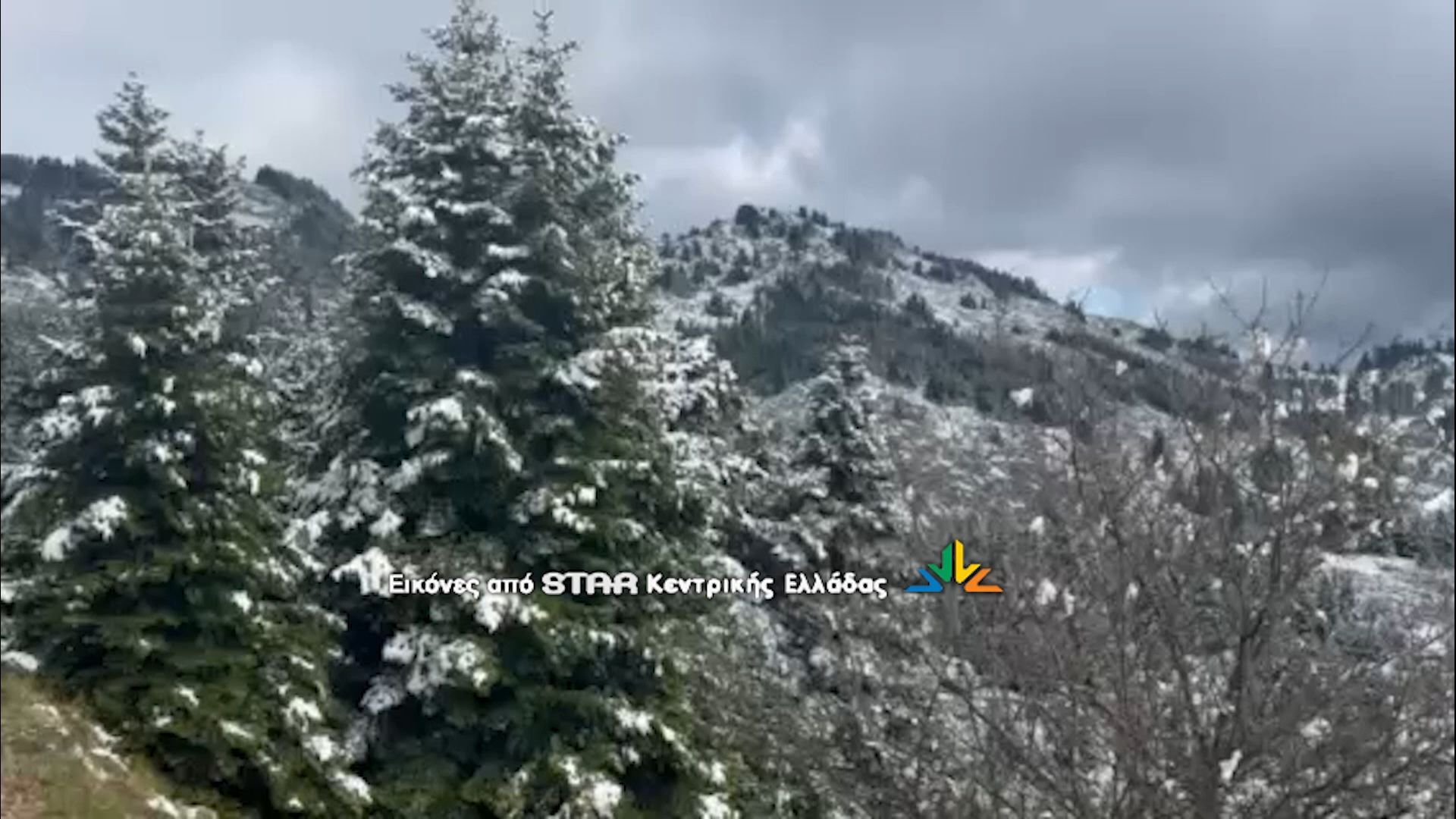 Αλλαγή καιρού: Μαγευτικό το τοπίο στην χιονισμένη Οίτη