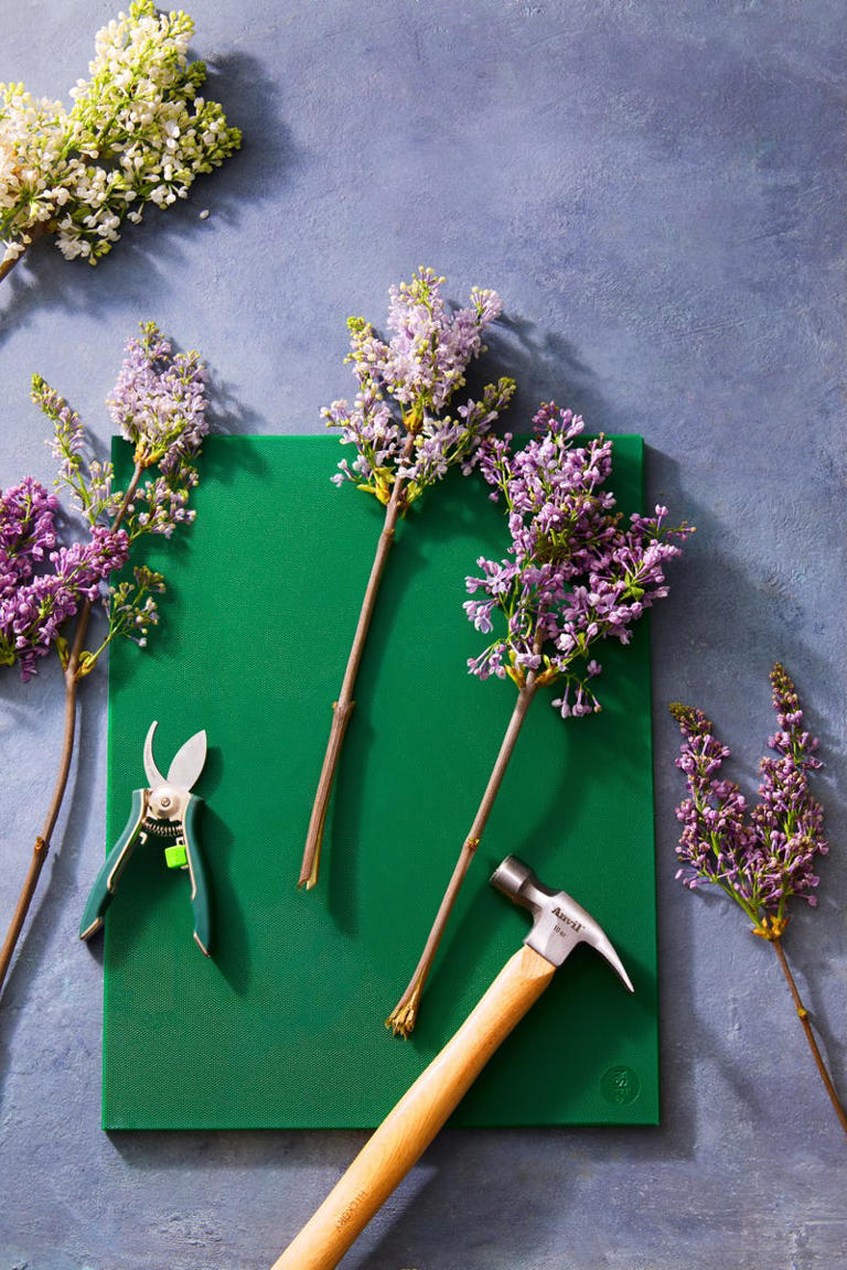 An expert reveals how to make your lilac arrangement last longer