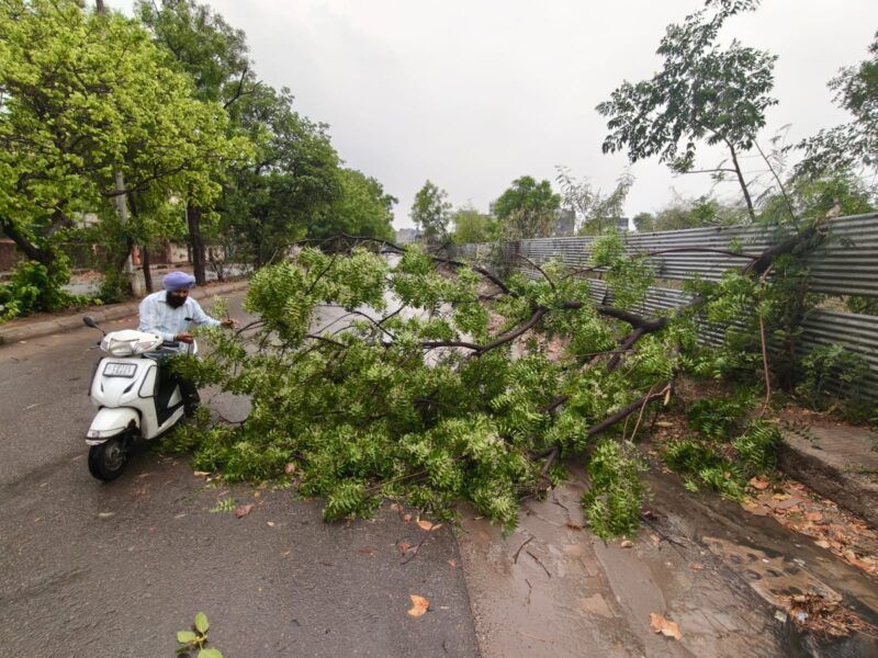 In photos: Thunderstorm, heavy rain and lightning disrupt Punjab cities ...