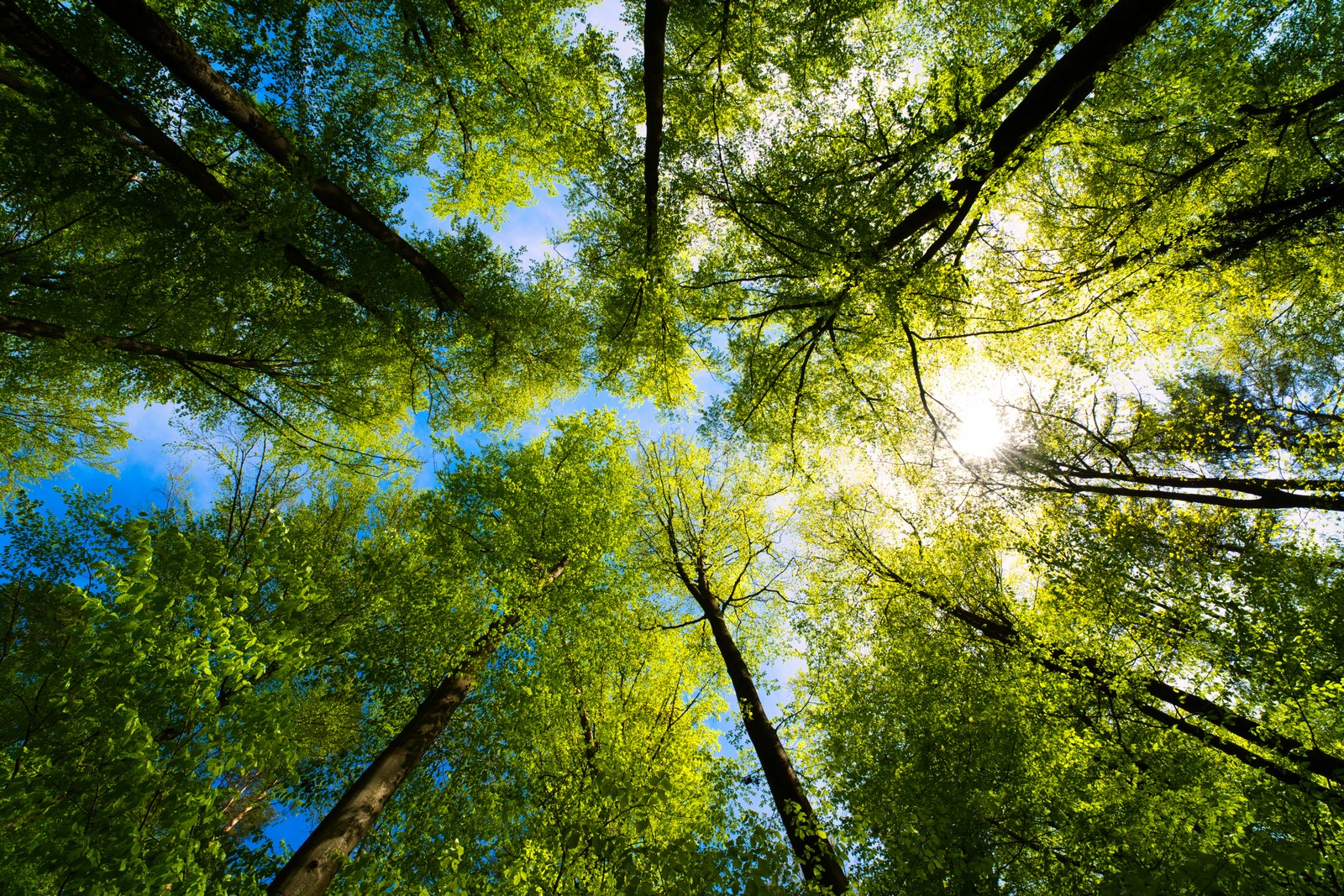 Natura 2000: Νέα Ειδική Περιβαλλοντική Μελέτη για Ήπειρο και Δυτική ...