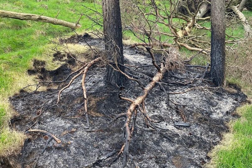 Crews battle fires at Edinburgh beauty spot as site and trees left ...