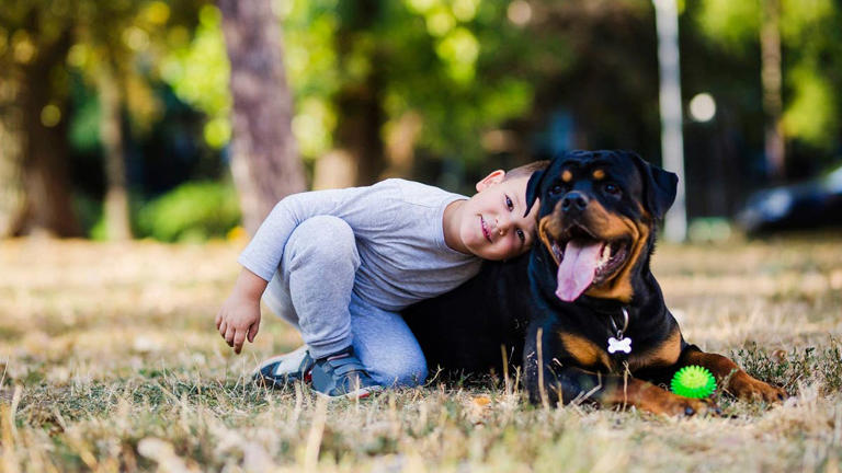 7 guard dog breeds for families with kids (trainer approved)