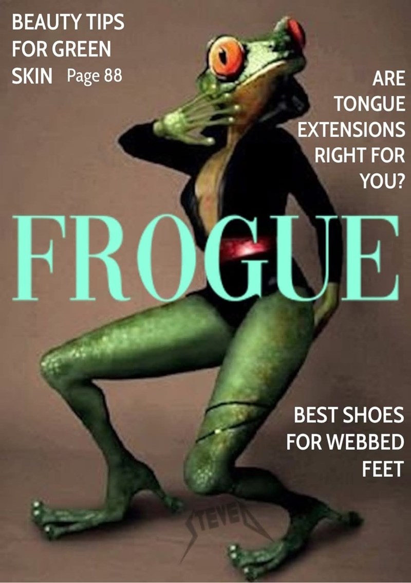 22 funny frogs for folks who need a leap to joy