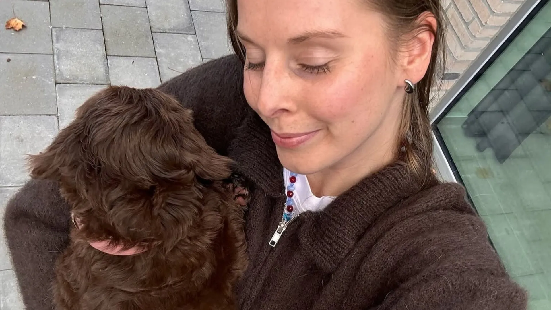 Judge jij mensen die honden niet mogen? Dít zegt dat over jou