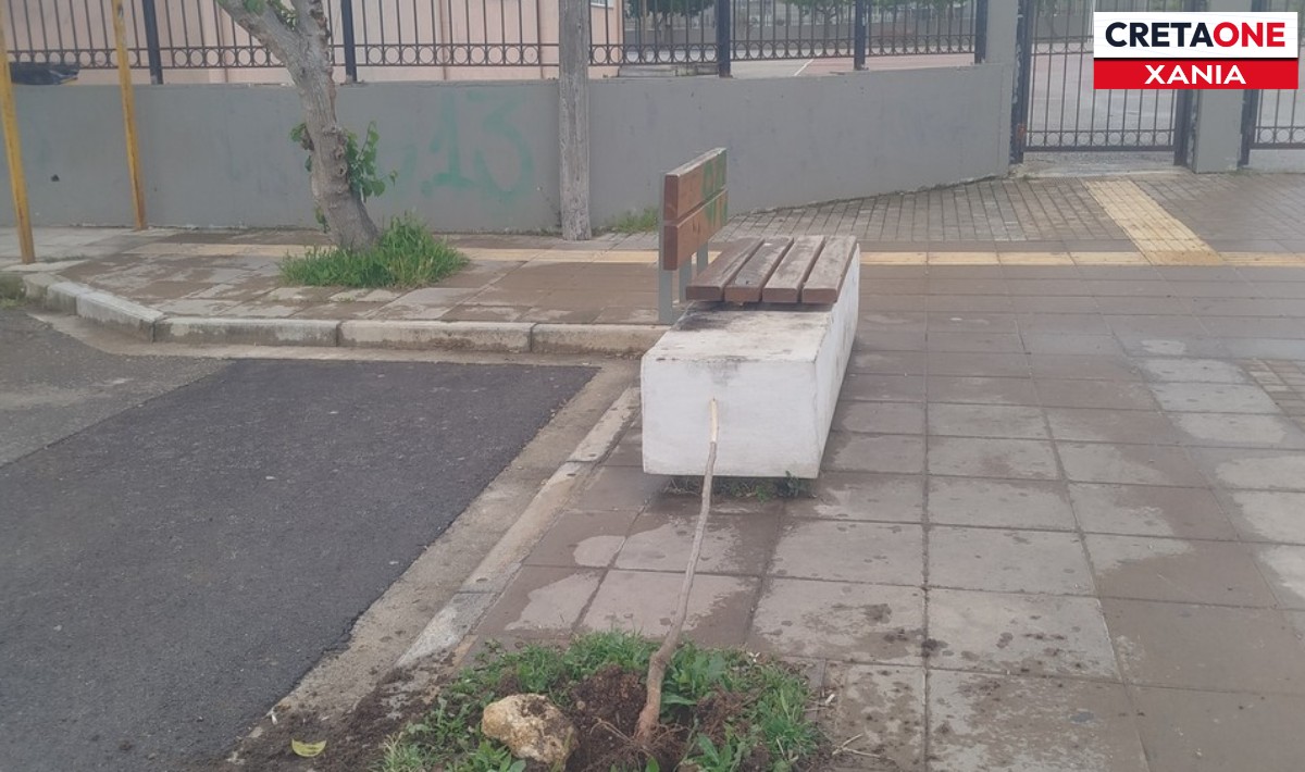 Χανιά: Άγνωστοι ξεπάτωσαν δέντρο έξω από σχολείο