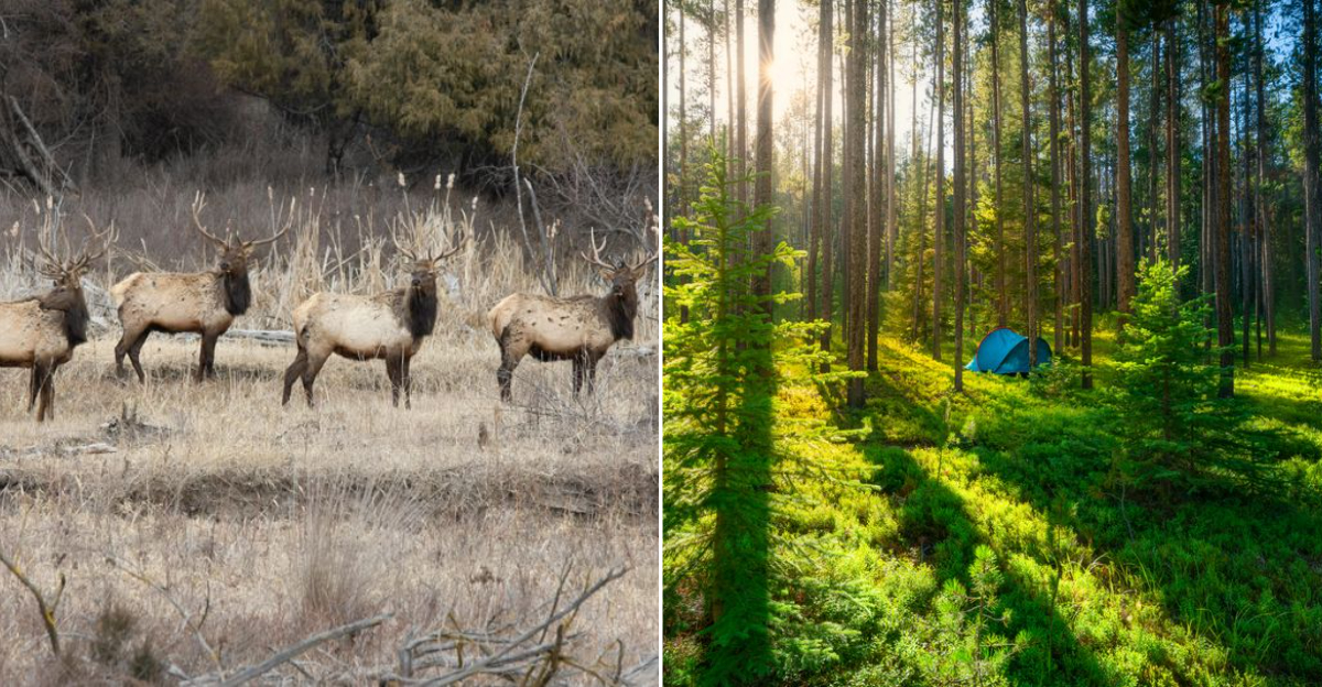 10 thrills and 2 disappointments about traveling Montana