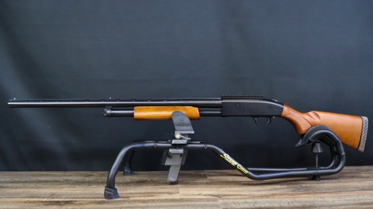 What to keep loaded when you hear coyotes at night